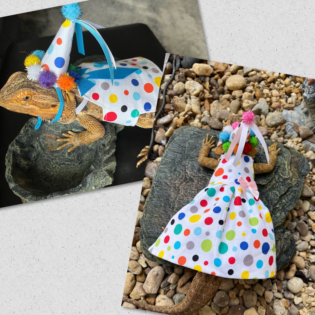 Bearded Dragon Birthday Dress or Shirt Costume MADE IN AMERICA - Etsy