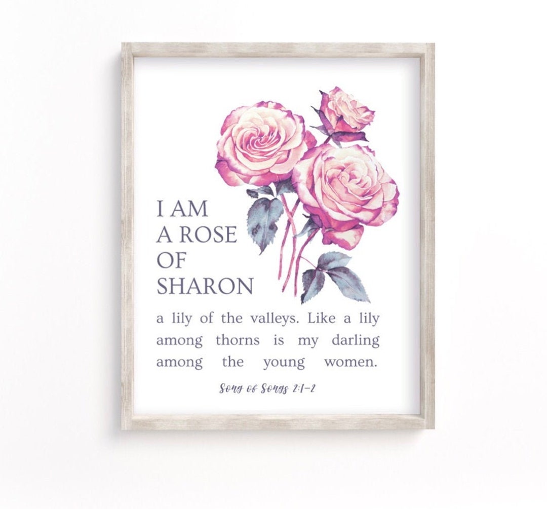I Am a Rose of Sharon Lily of the Valley. Like a Lily Among Thorns is ...