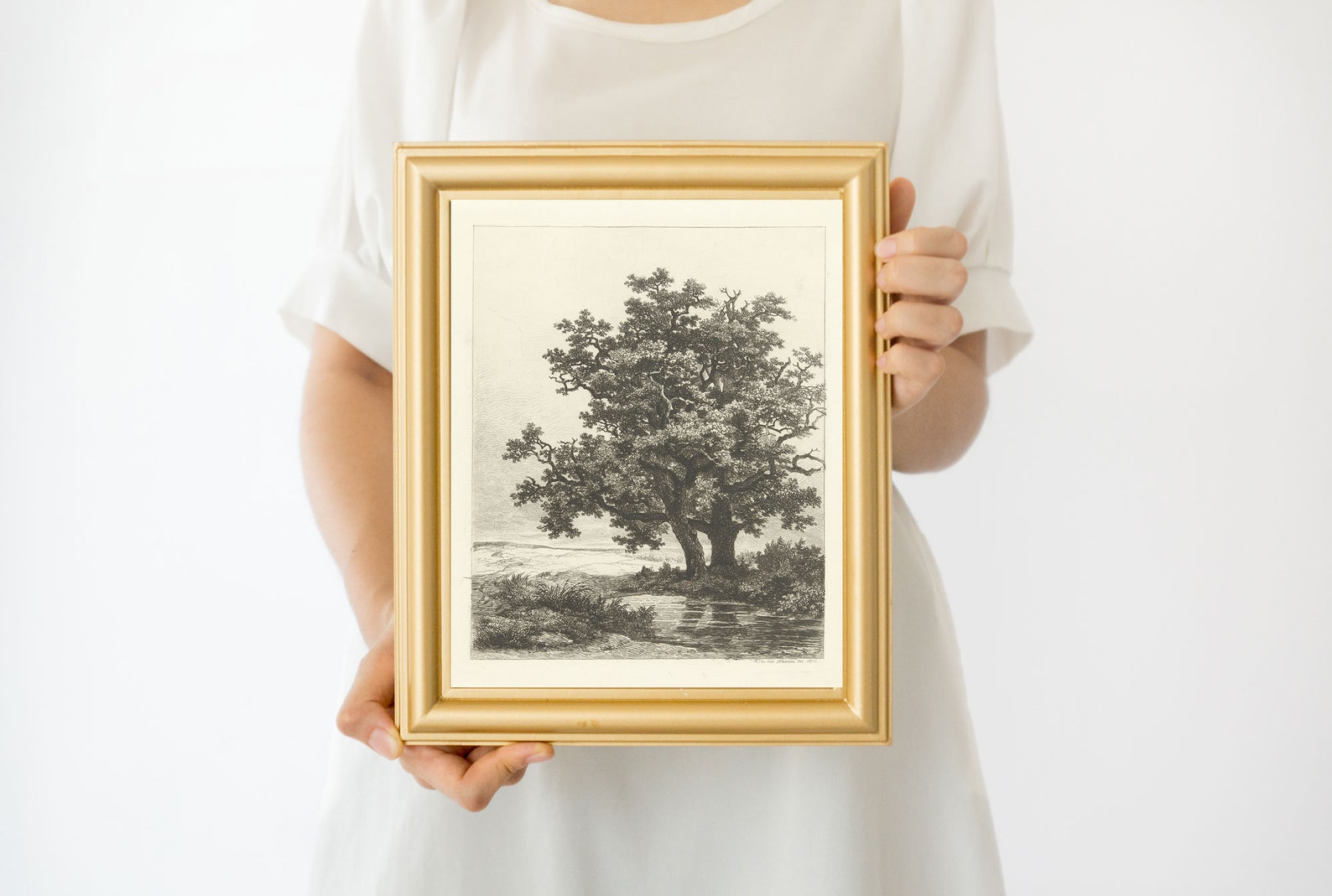 Vintage Tree Pencil Drawing Landscape Art Print - Tree Over River Bend ...