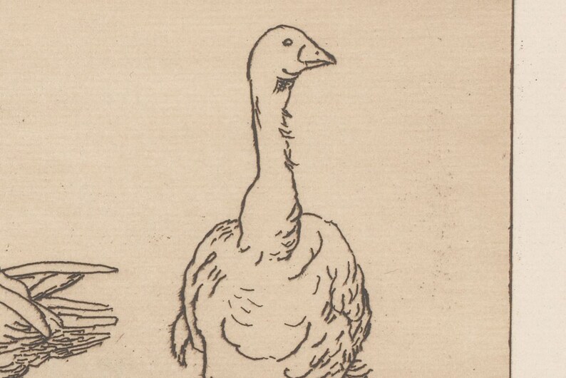 Vintage Painting Goose Art Pen and Ink Geese | Etsy