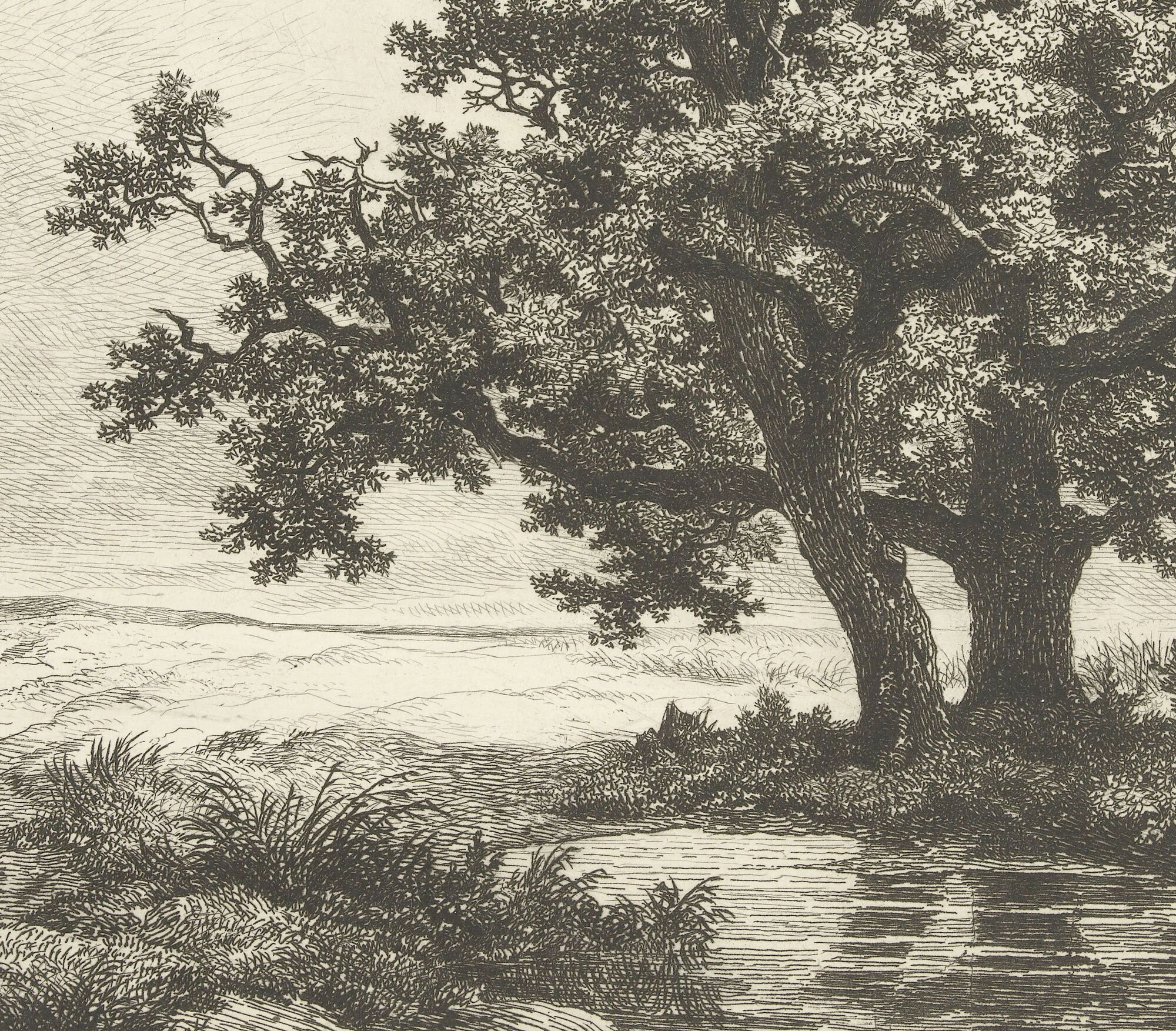 Vintage Tree Pencil Drawing Landscape Art Print - Tree Over River Bend ...