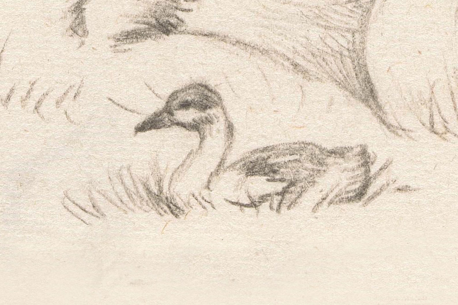 Vintage Painting Goose Art Family of Geese | Etsy