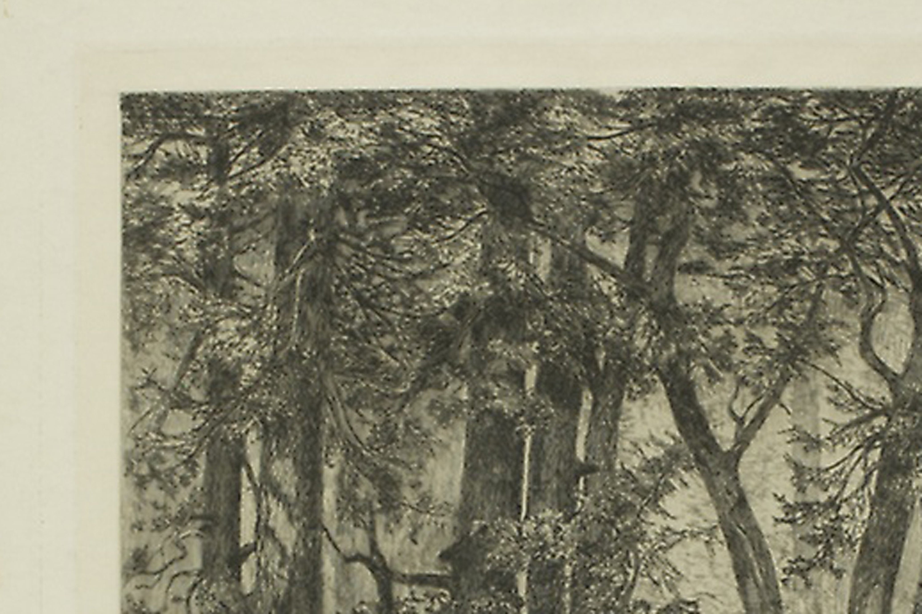 Vintage Tree Pencil Drawing Landscape Art Print Forest | Etsy