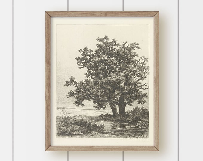 Vintage Tree Pencil Drawing Landscape Art Print Tree Over River Bend - Etsy