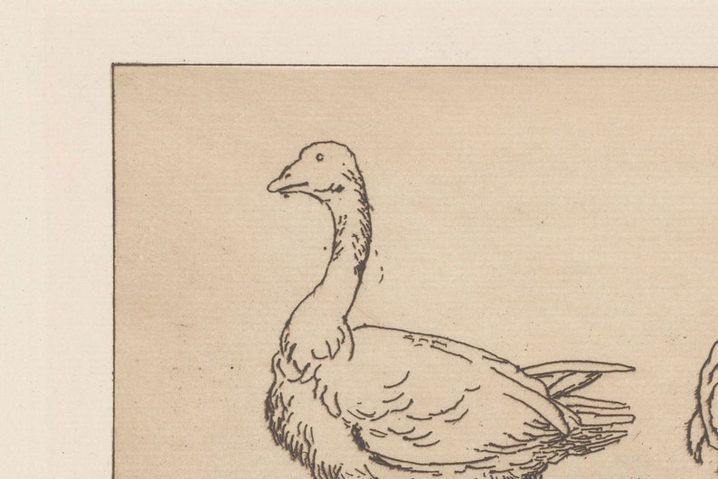 Vintage Painting Goose Art Pen and Ink Geese | Etsy