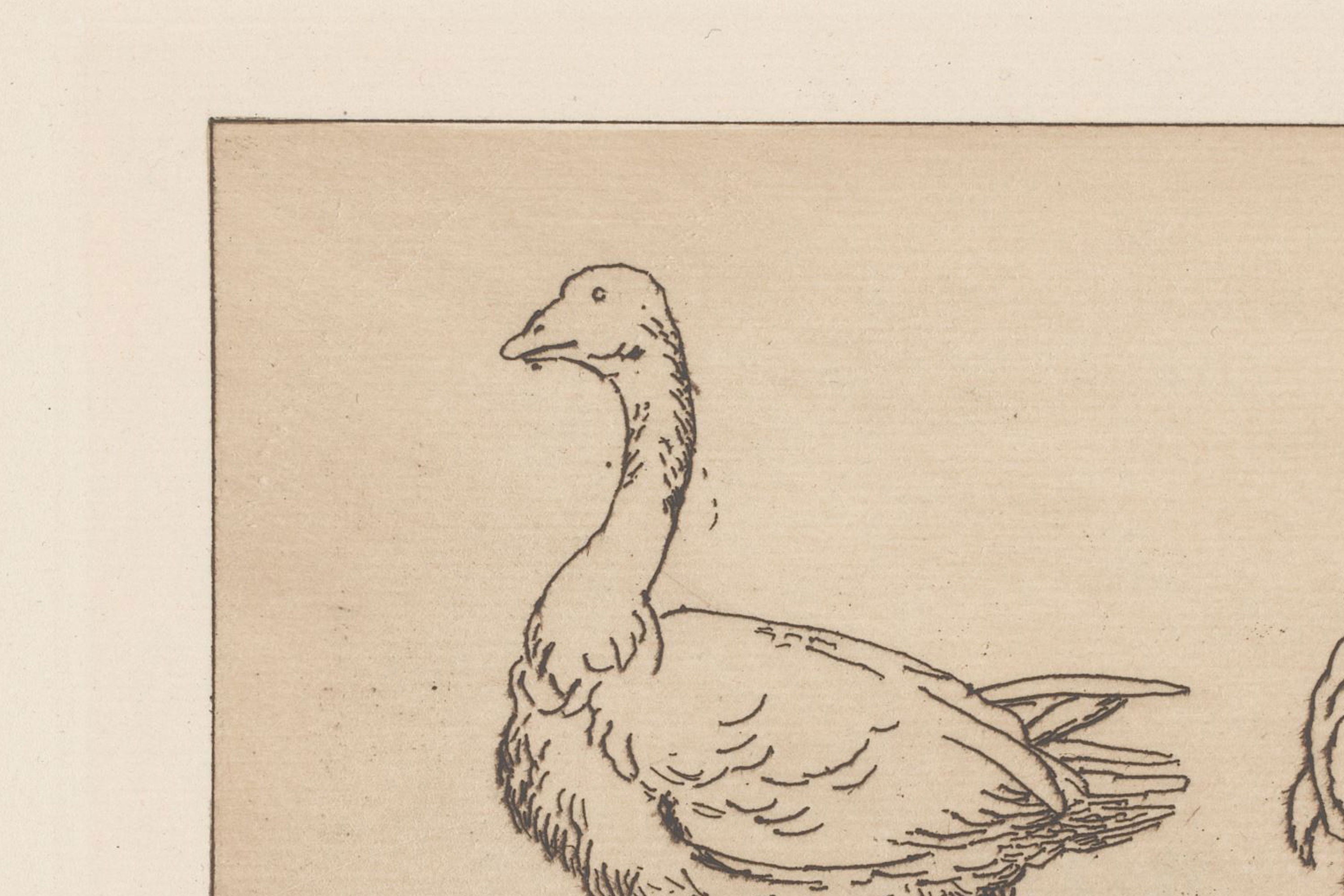 Vintage Painting Goose Art - Pen and Ink Geese - Etsy