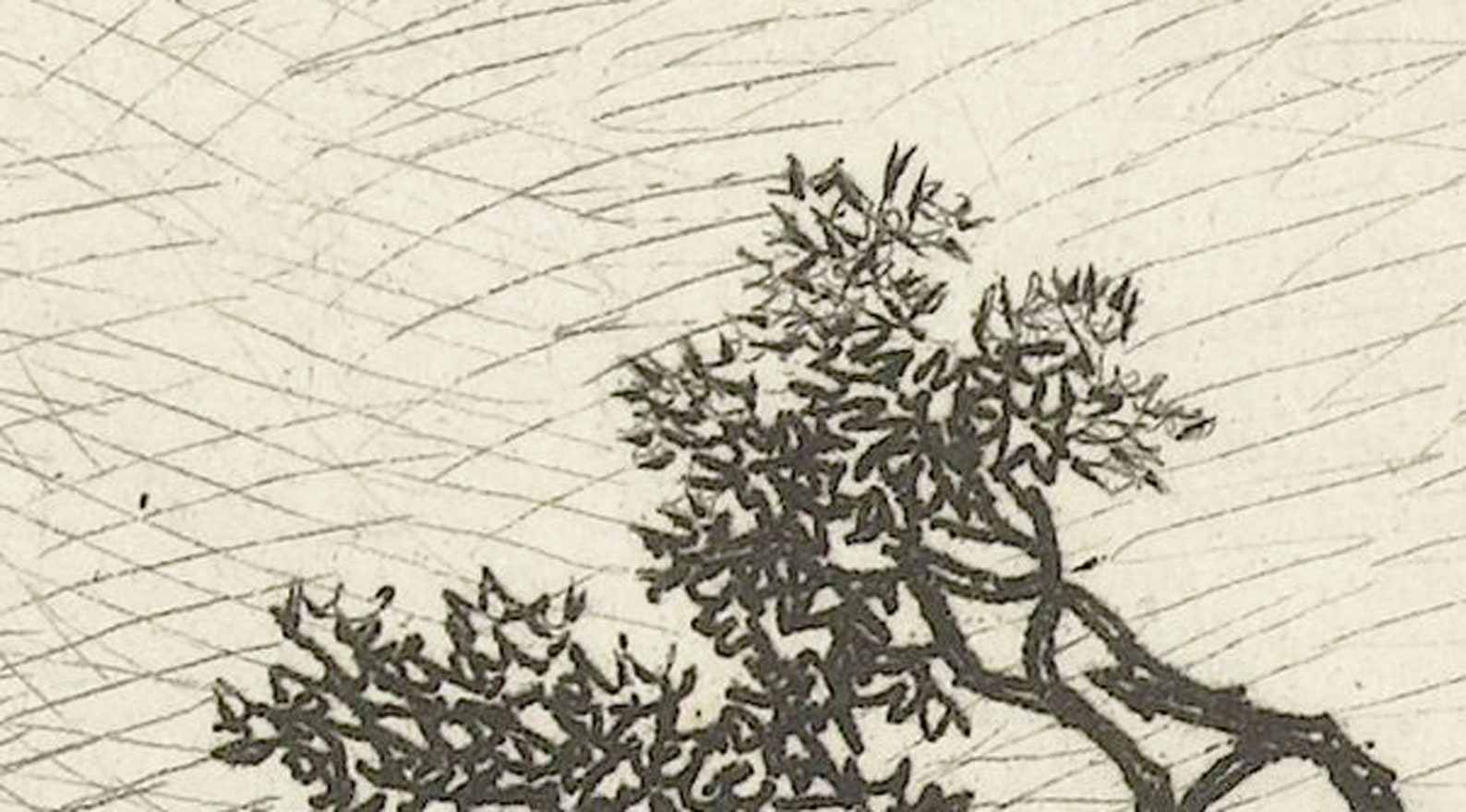 Vintage Tree Pencil Drawing Landscape Art Print - Tree Over River Bend ...
