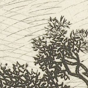 Vintage Tree Pencil Drawing Landscape Art Print - Tree Over River Bend ...