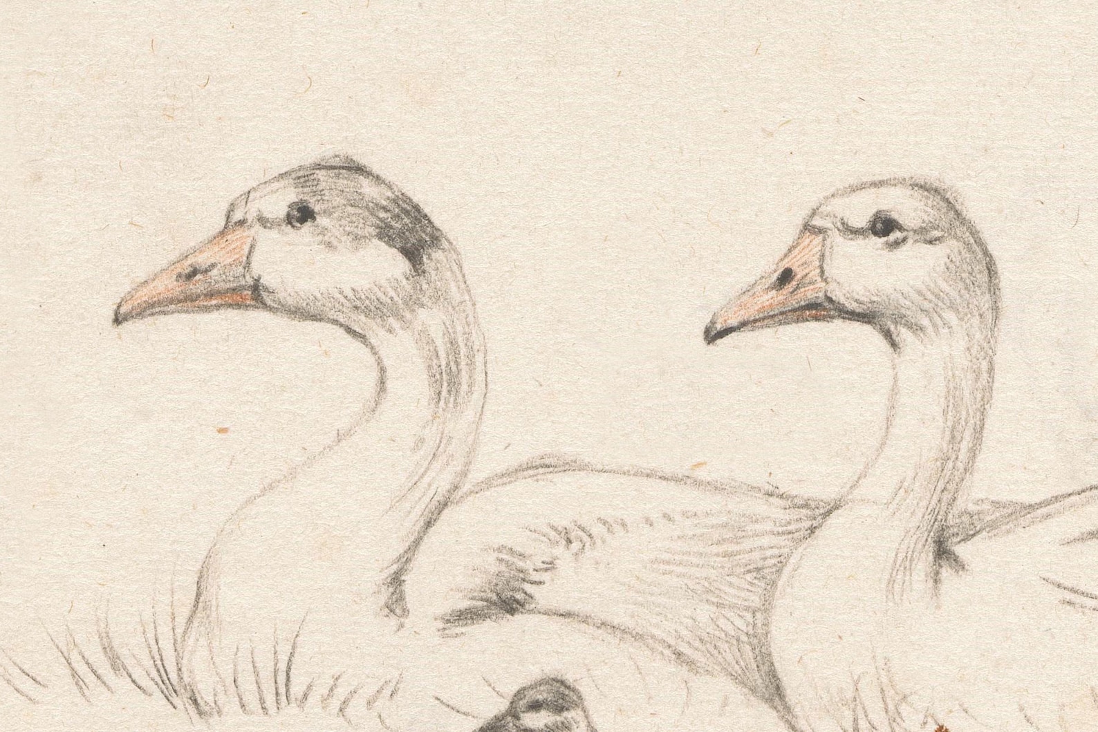 Vintage Painting Goose Art Family of Geese | Etsy