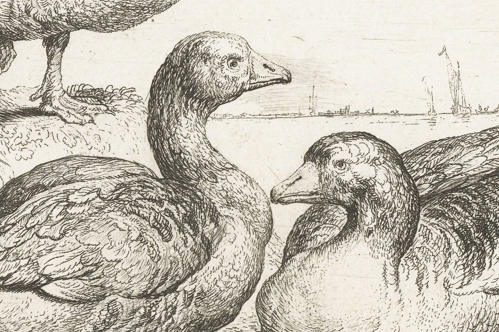 Vintage Goose Painting Art Print - Three Geese - Etsy