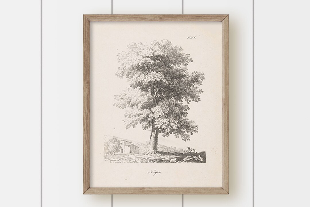 Vintage Tree Landscape Art Print - Tree Illustration 1 - Etsy