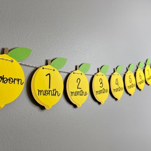 Lemon First Birthday Monthly Photo Banner, Lemonade Theme Birthday ...