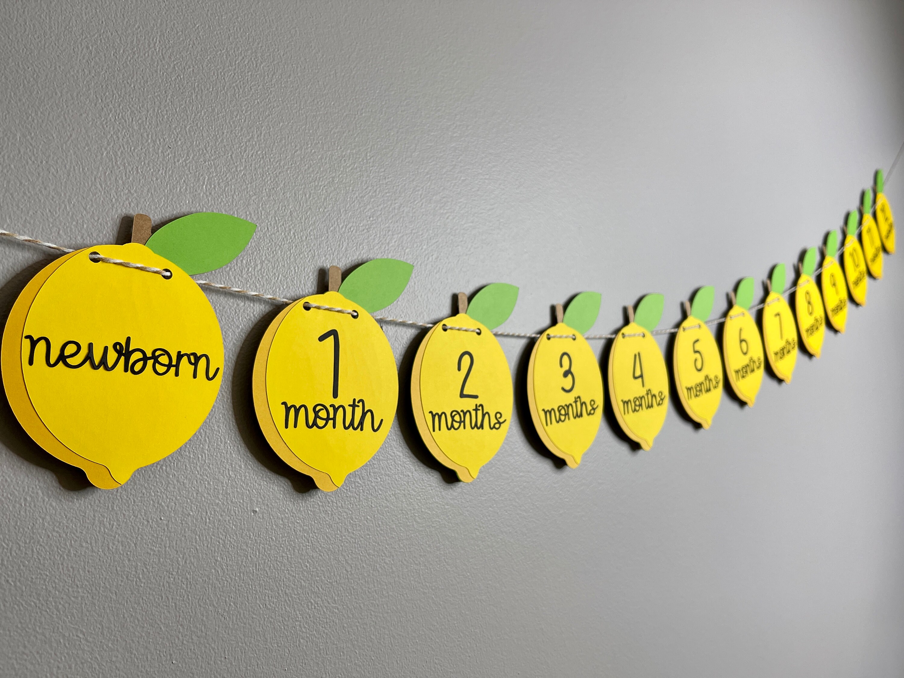 Lemon First Birthday Monthly Photo Banner Lemonade Theme | Etsy