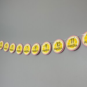 Lemon First Birthday Monthly Photo Banner, Pink Lemonade Theme Birthday ...