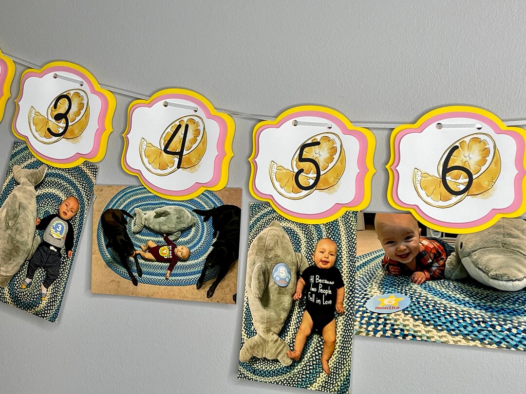 Lemon First Birthday Monthly Photo Banner, Lemonade Theme Birthday ...