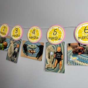 Lemon First Birthday Monthly Photo Banner, Pink Lemonade Theme Birthday ...