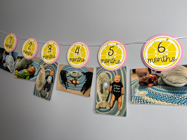Lemon First Birthday Monthly Photo Banner, Pink Lemonade Theme Birthday ...