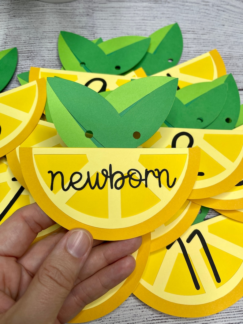 Lemon First Birthday Monthly Photo Banner Lemonade Theme | Etsy