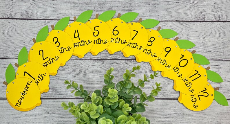Lemon First Birthday Monthly Photo Banner, Lemonade Theme Birthday ...