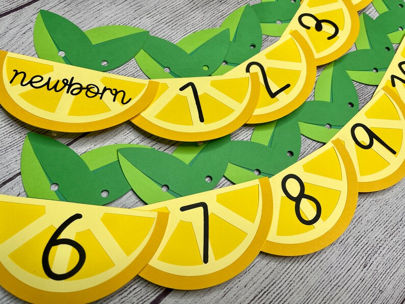 Lemon First Birthday Monthly Photo Banner Lemonade Theme | Etsy