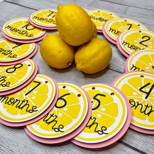 Lemon First Birthday Monthly Photo Banner, Pink Lemonade Theme Birthday ...