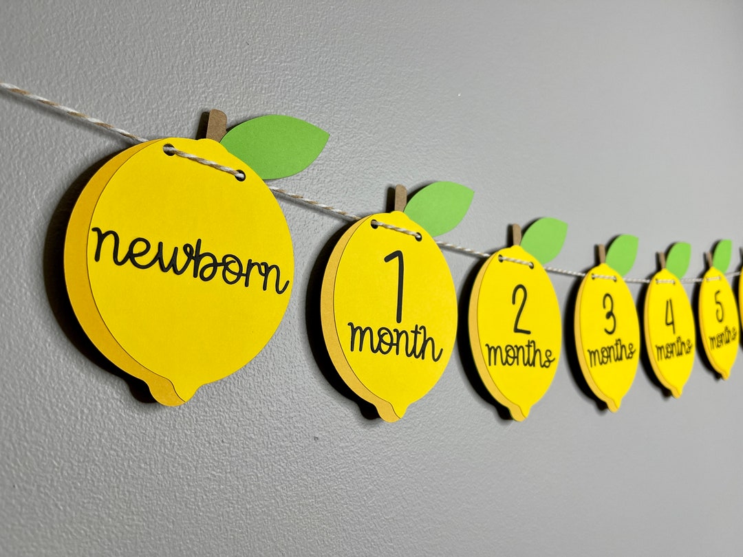 Lemon First Birthday Monthly Photo Banner, Lemonade Theme Birthday ...