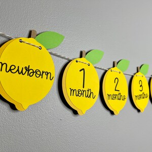 Lemon First Birthday Monthly Photo Banner Lemonade Theme | Etsy