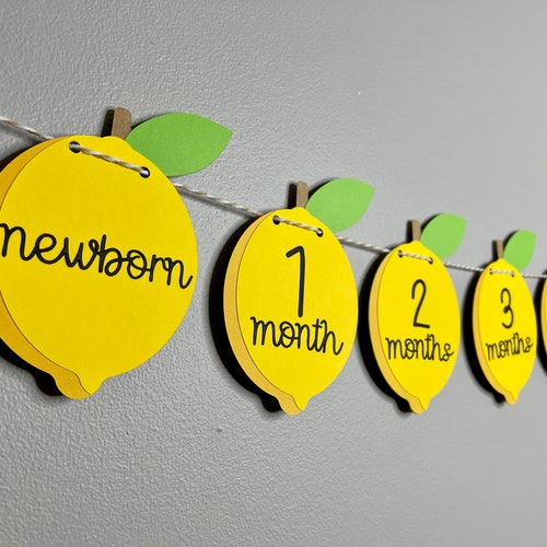 Pink Lemonade Citrus First Birthday Photo Banner Pink Lemon - Etsy