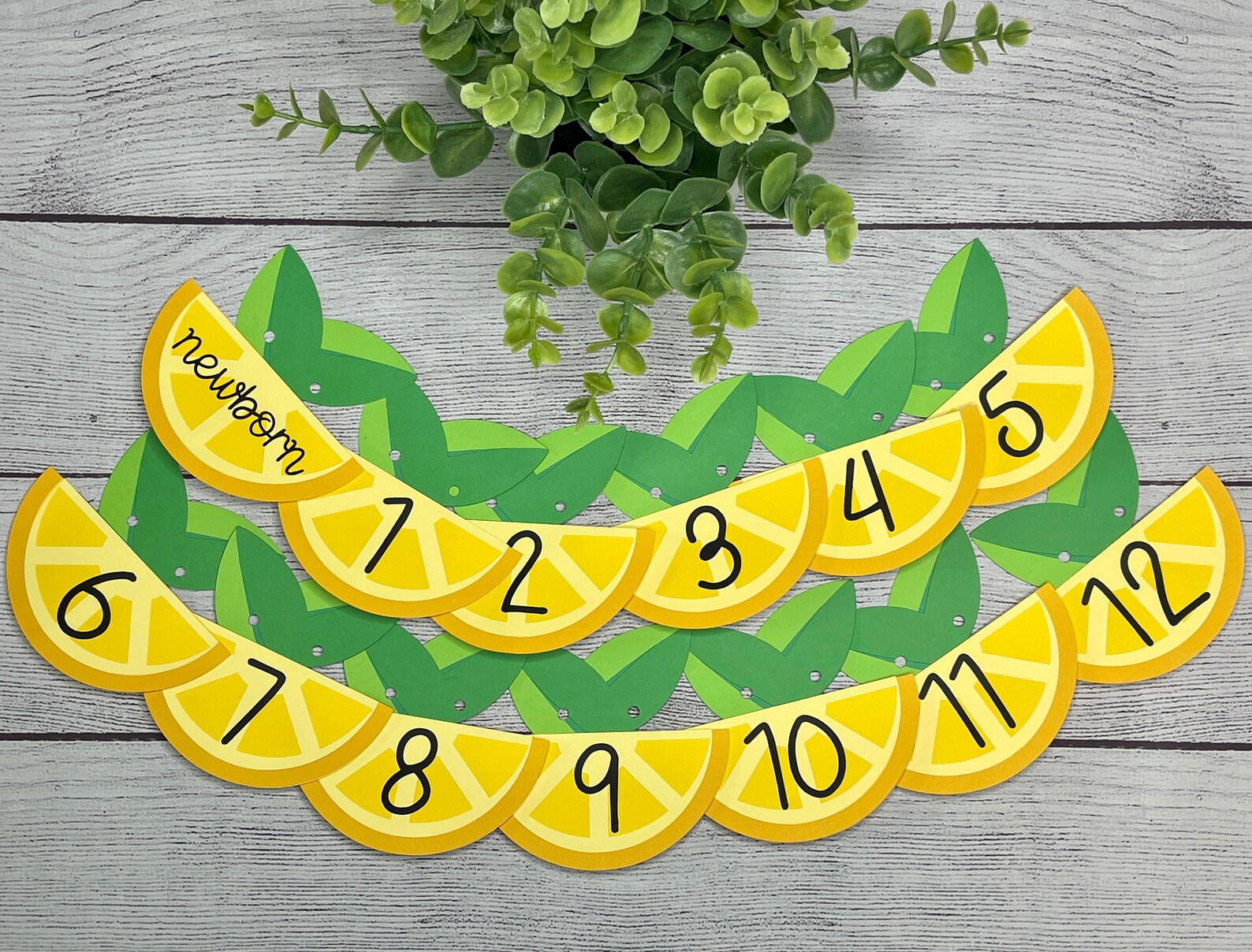 Lemon First Birthday Monthly Photo Banner, Lemonade Theme Birthday ...