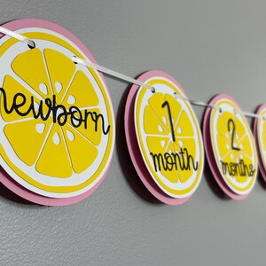 Lemon First Birthday Monthly Photo Banner, Pink Lemonade Theme Birthday ...