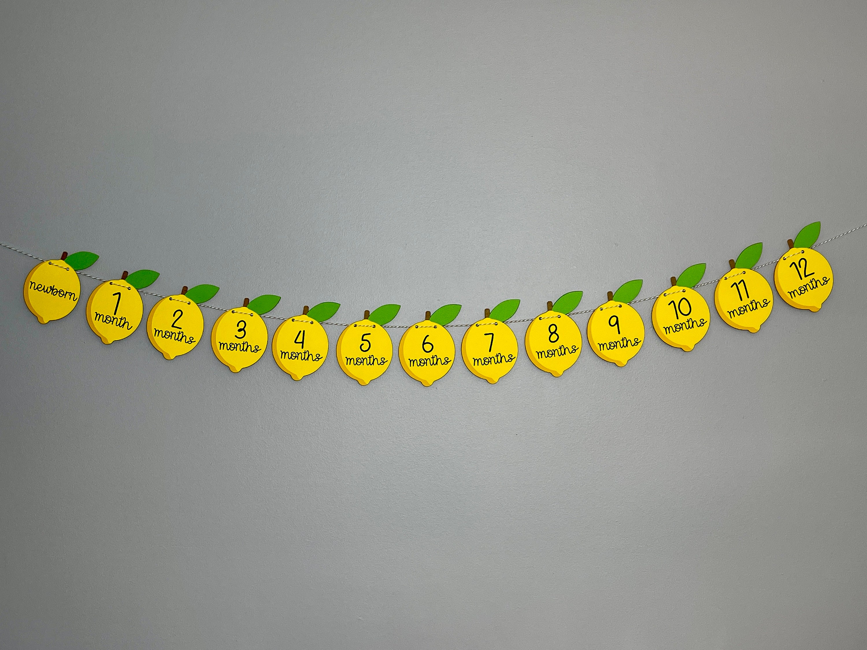 Lemon First Birthday Monthly Photo Banner, Lemonade Theme Birthday ...
