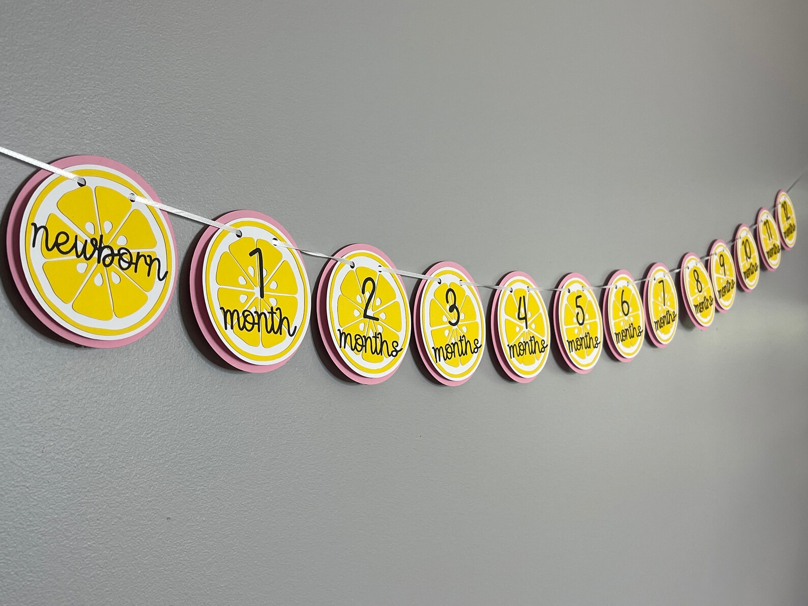 Lemon First Birthday Monthly Photo Banner, Pink Lemonade Theme Birthday ...