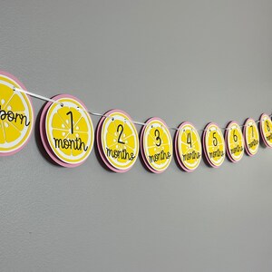 Lemon First Birthday Monthly Photo Banner, Pink Lemonade Theme Birthday ...