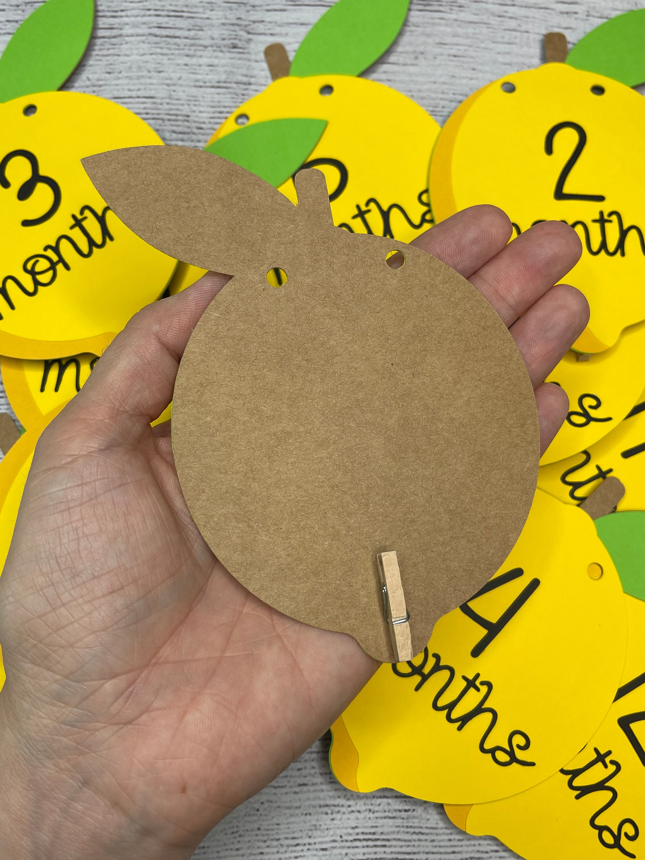 Lemon First Birthday Monthly Photo Banner, Lemonade Theme Birthday ...