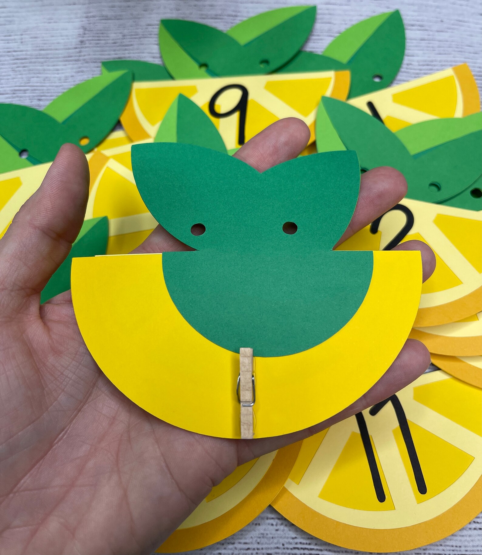Lemon First Birthday Monthly Photo Banner, Lemonade Theme Birthday ...