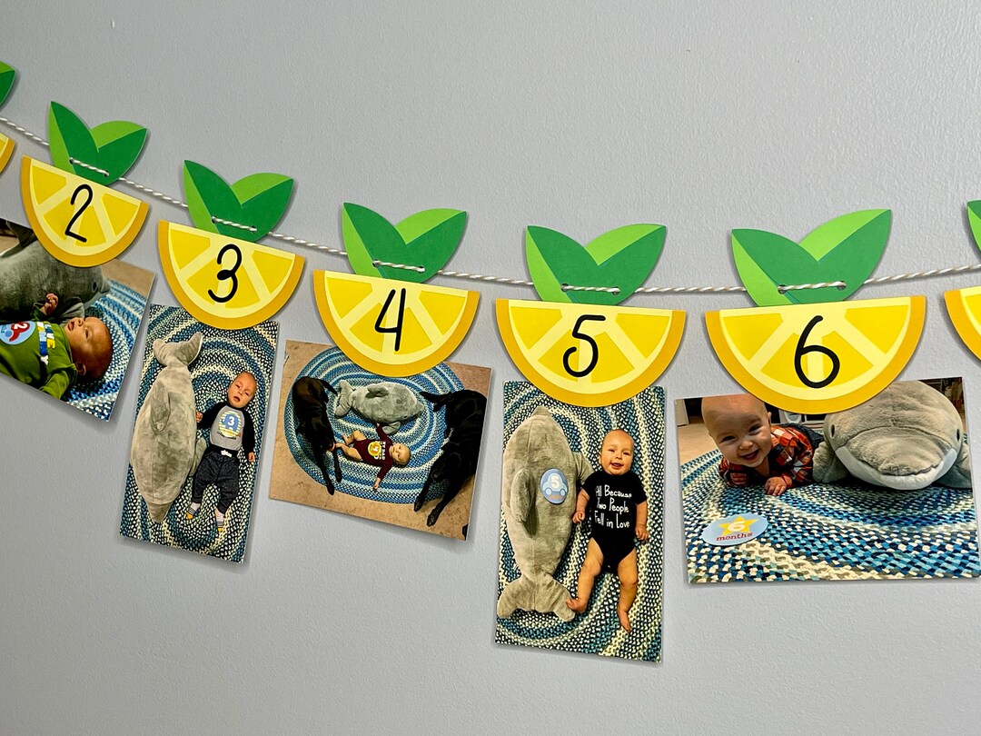 Lemon First Birthday Monthly Photo Banner, Lemonade Theme Birthday ...