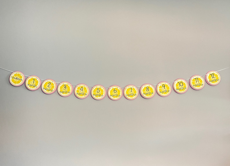 Lemon First Birthday Monthly Photo Banner, Pink Lemonade Theme Birthday ...
