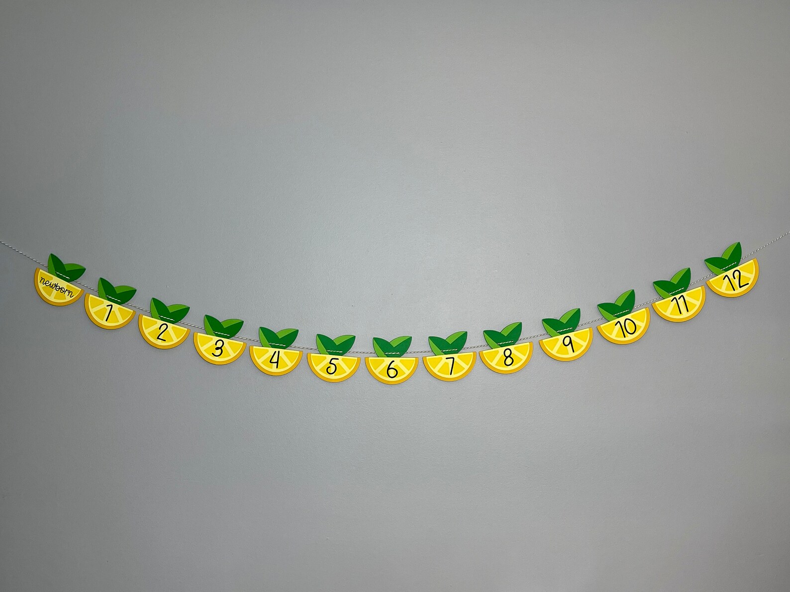 Lemon First Birthday Monthly Photo Banner Lemonade Theme | Etsy