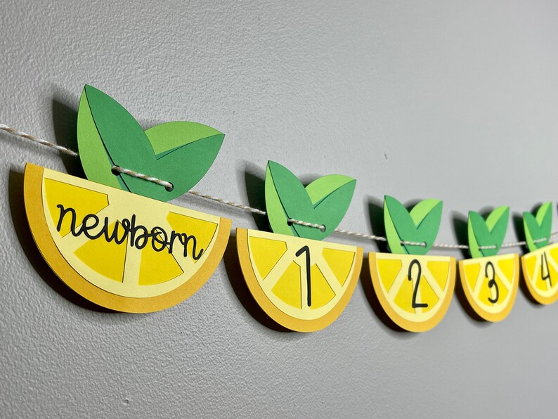 Lemon First Birthday Monthly Photo Banner Lemonade Theme | Etsy