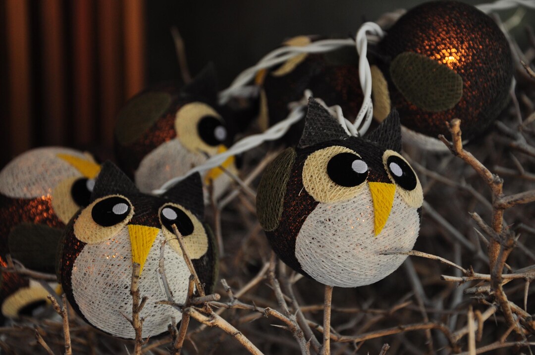 Baby Owl String Lights: Fairy Light Garland Decor - Etsy