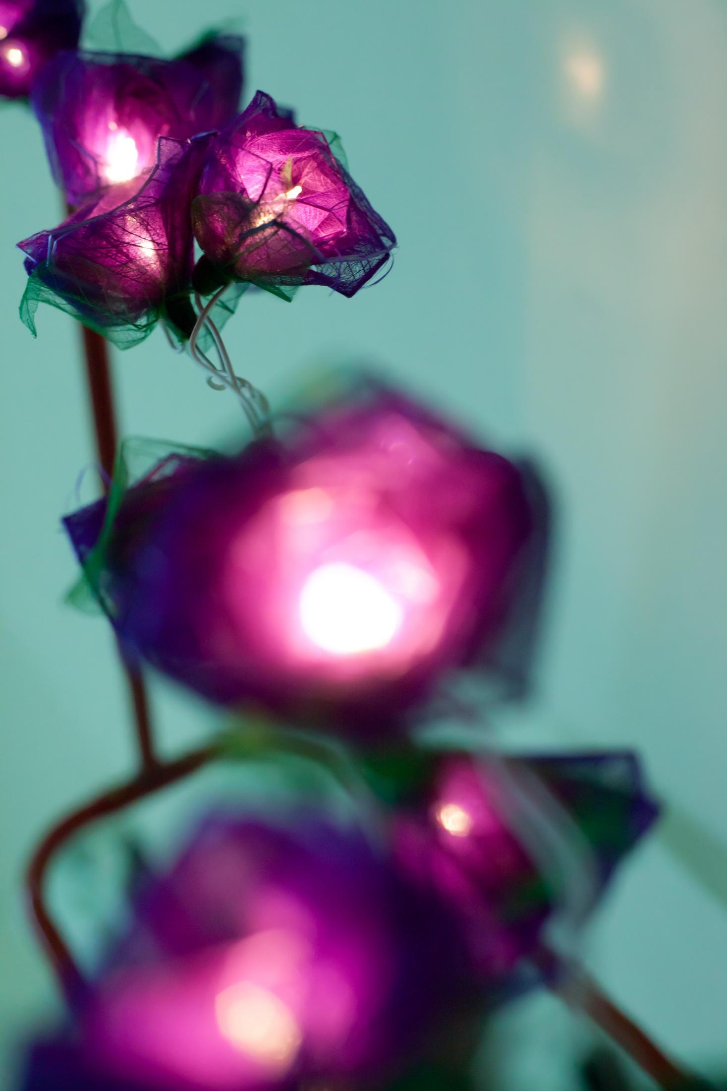 Purple Rose Flower String Fairy Lights Home Living Room and Wedding ...