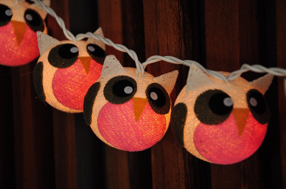 Owl String Lights Fairy Light Garland Decor Garland Gift Set ...
