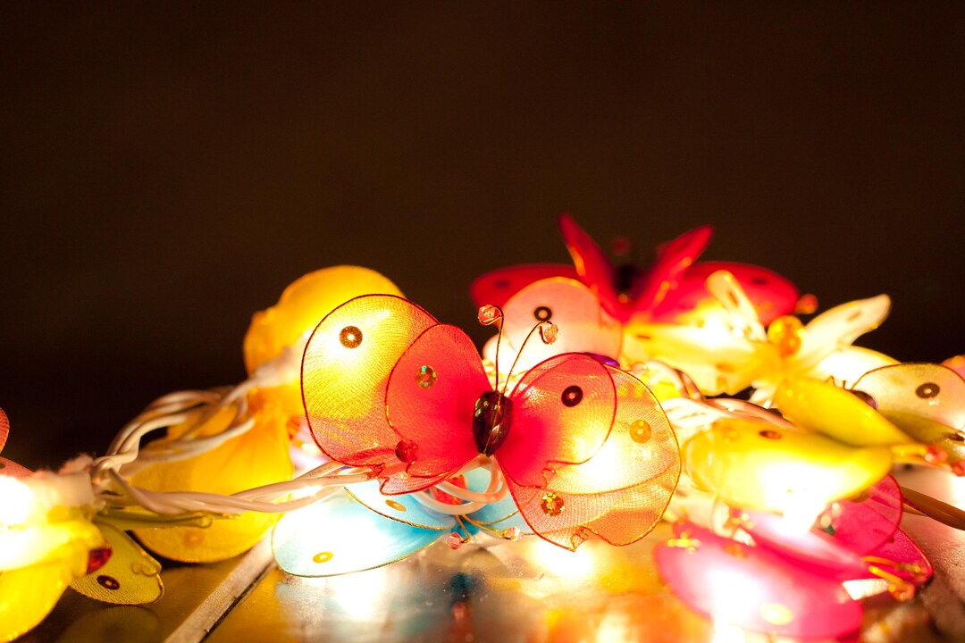 Butterfly Fairy Lights Home Living Room and Wedding Decor Sweet Dorm ...