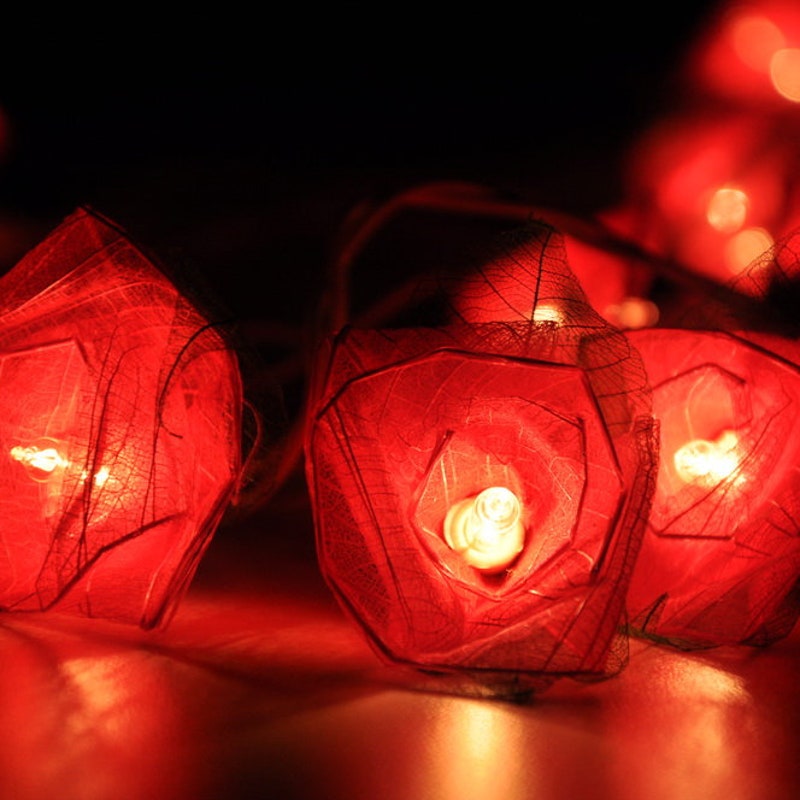 Rose String Lights - Etsy
