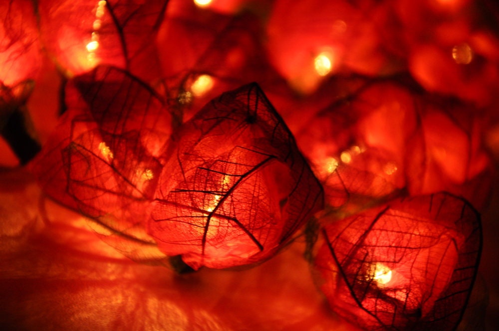 20/35 LED Red Tone Leaf Rose Flower String Fairy Lights Home Living ...