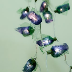 Blue Rose Flower String Fairy Lights Home Living Room and Wedding Decor ...