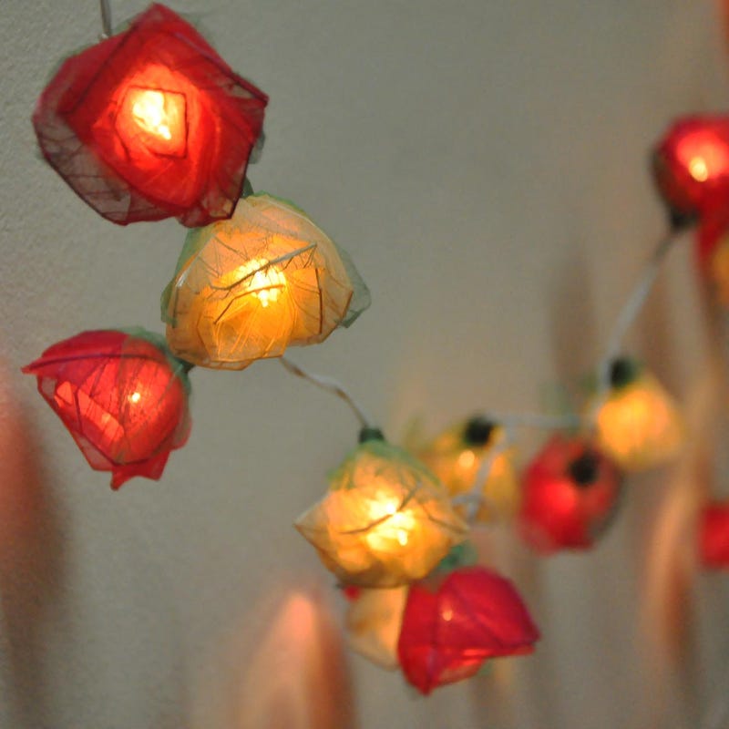 Rose String Lights - Etsy