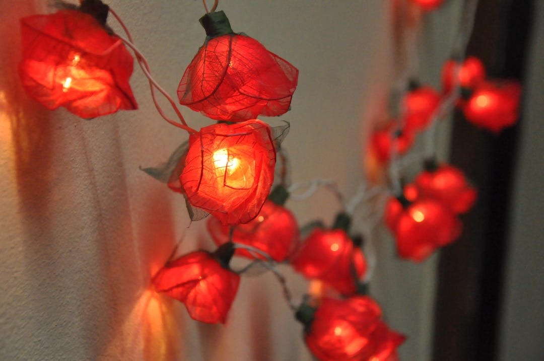 Red Rose String Fairy Lights – Romantic, Floral, LED, Wedding, Bedroom ...