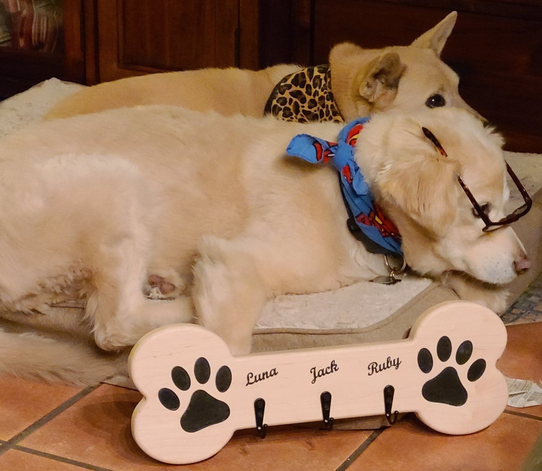 Large Rustic Dog Bone Leash Holder Veterinarian Gift Pet | Etsy