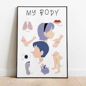 The Body Parts Poster | Educational Prints | Preschool Print | My Body ...